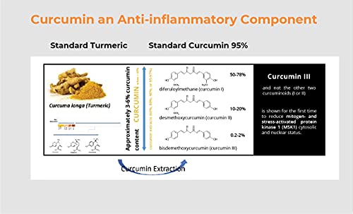 high absorption curcumin capsules