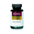 high-absorption curcumin supplement