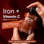 high absorption iron for energy