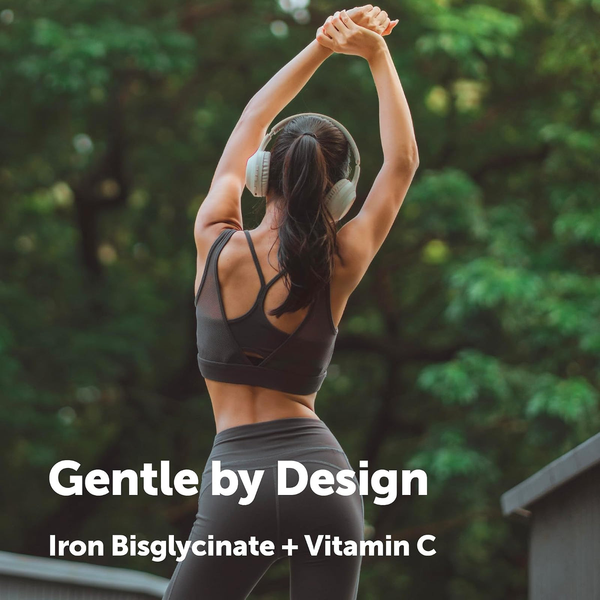 High absorption iron for wellness