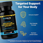 high absorption iron supplement