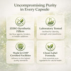 High absorption liposomal glutathione