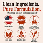 High absorption magnesium capsules