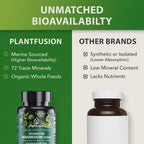 high absorption magnesium glycinate capsules