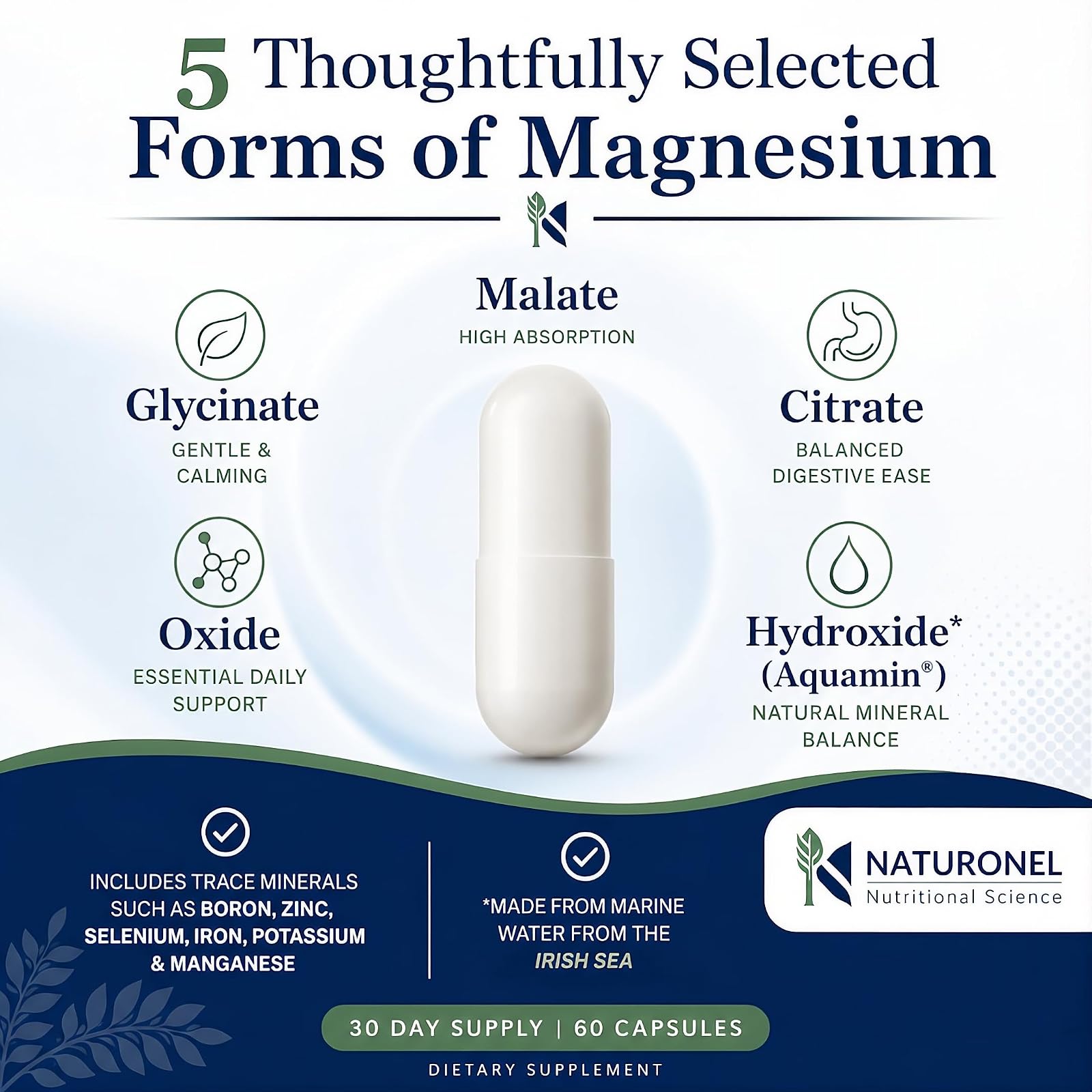 high absorption magnesium supplement