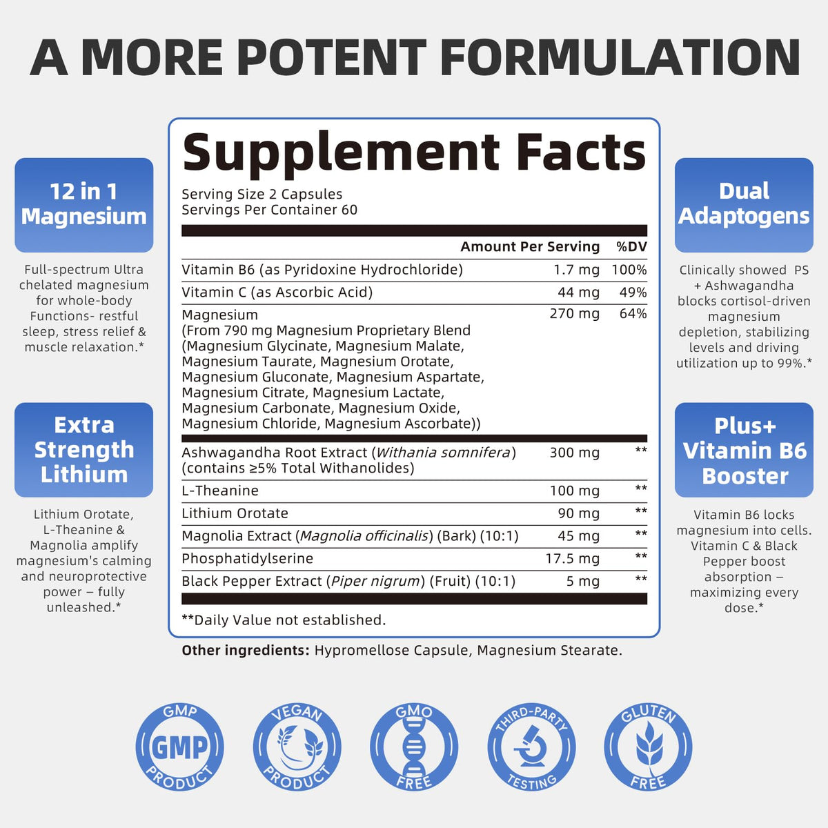 High absorption magnesium supplement