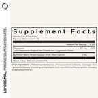 high absorption magnesium supplement