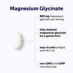 High absorption magnesium supplement