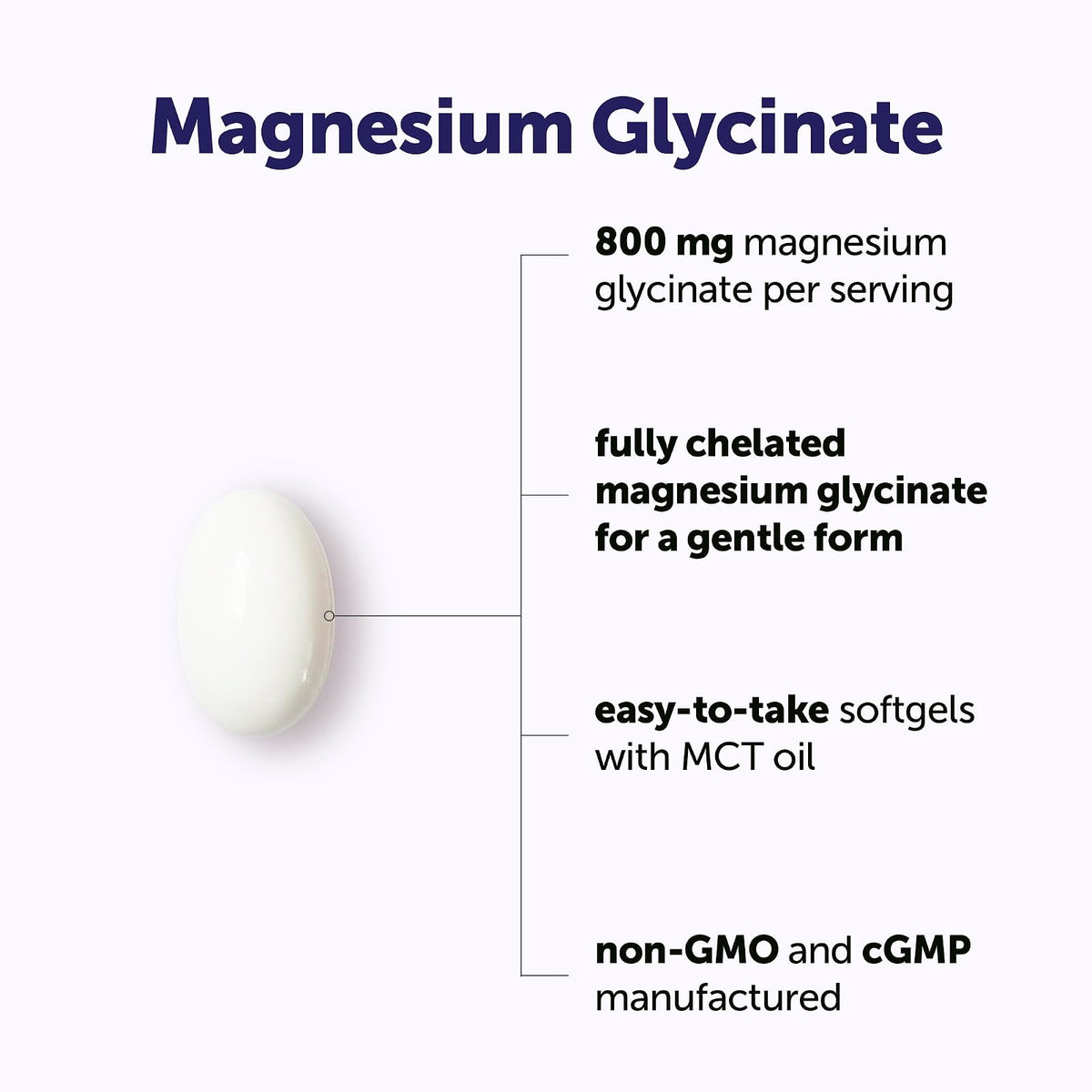 High absorption magnesium supplement