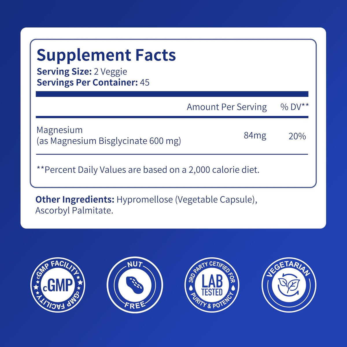 High absorption magnesium supplement