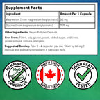 high absorption magnesium supplement