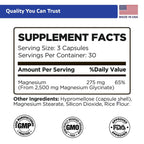 High absorption magnesium supplement