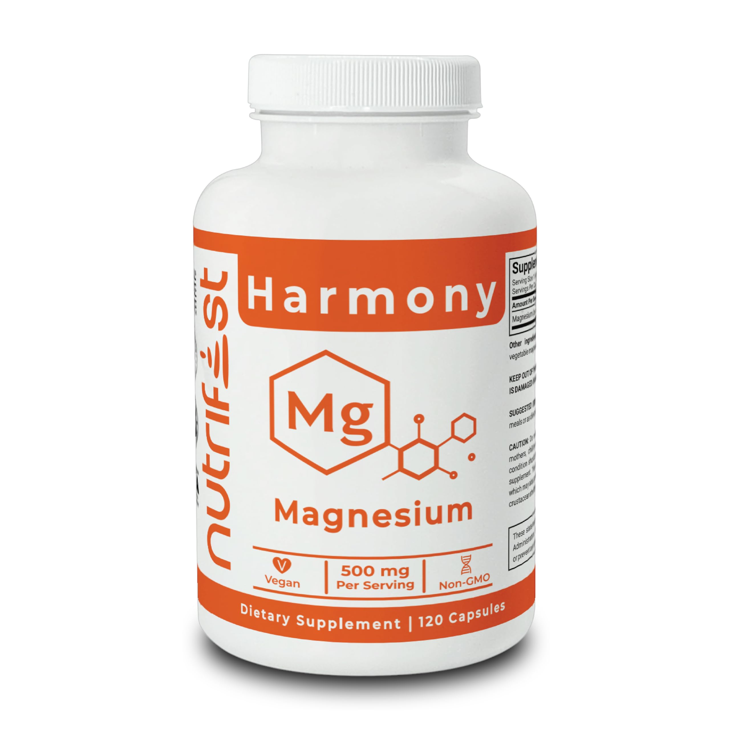 high absorption magnesium supplement