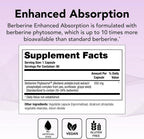 high absorption multivitamin for men