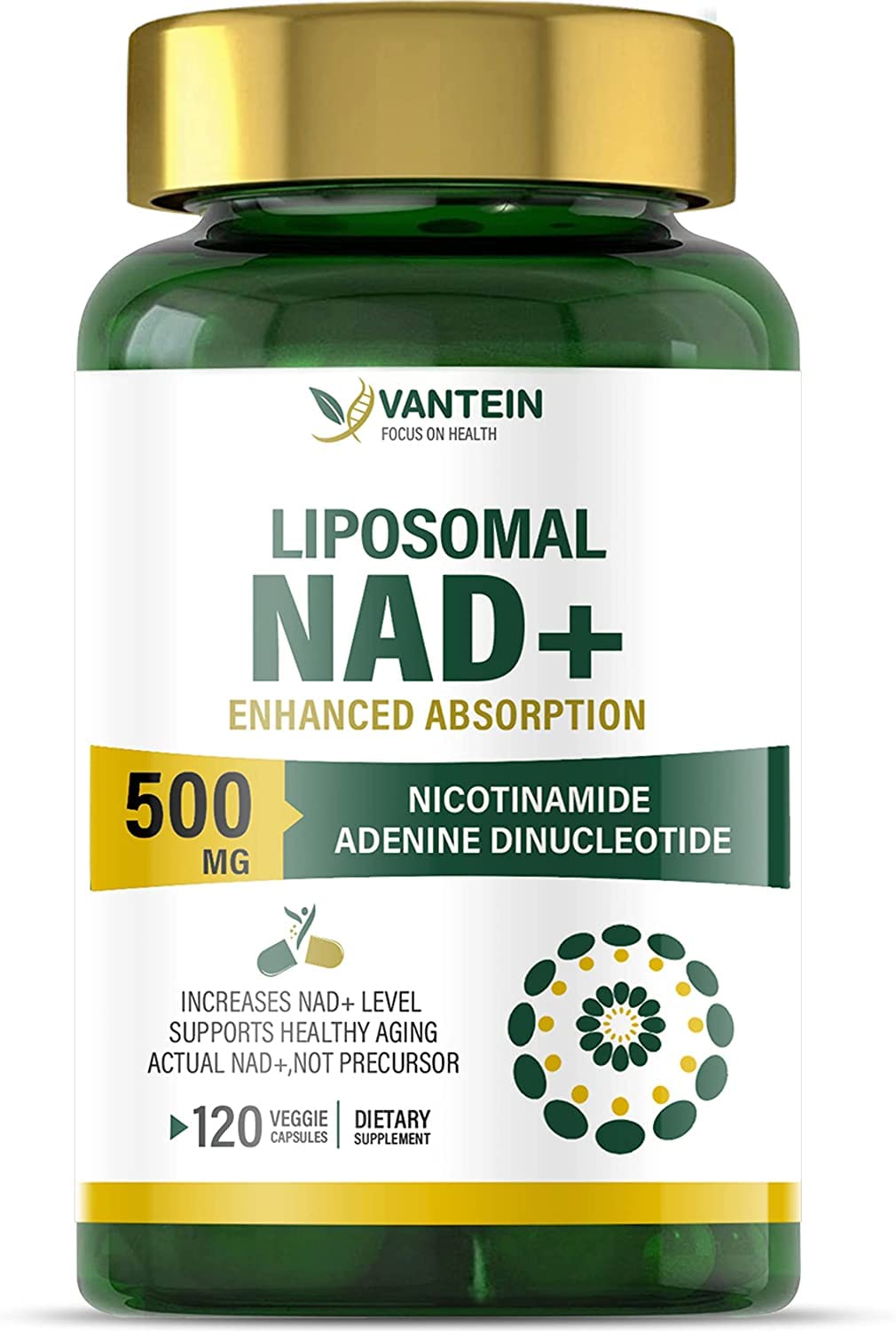 high absorption NAD+ supplement
