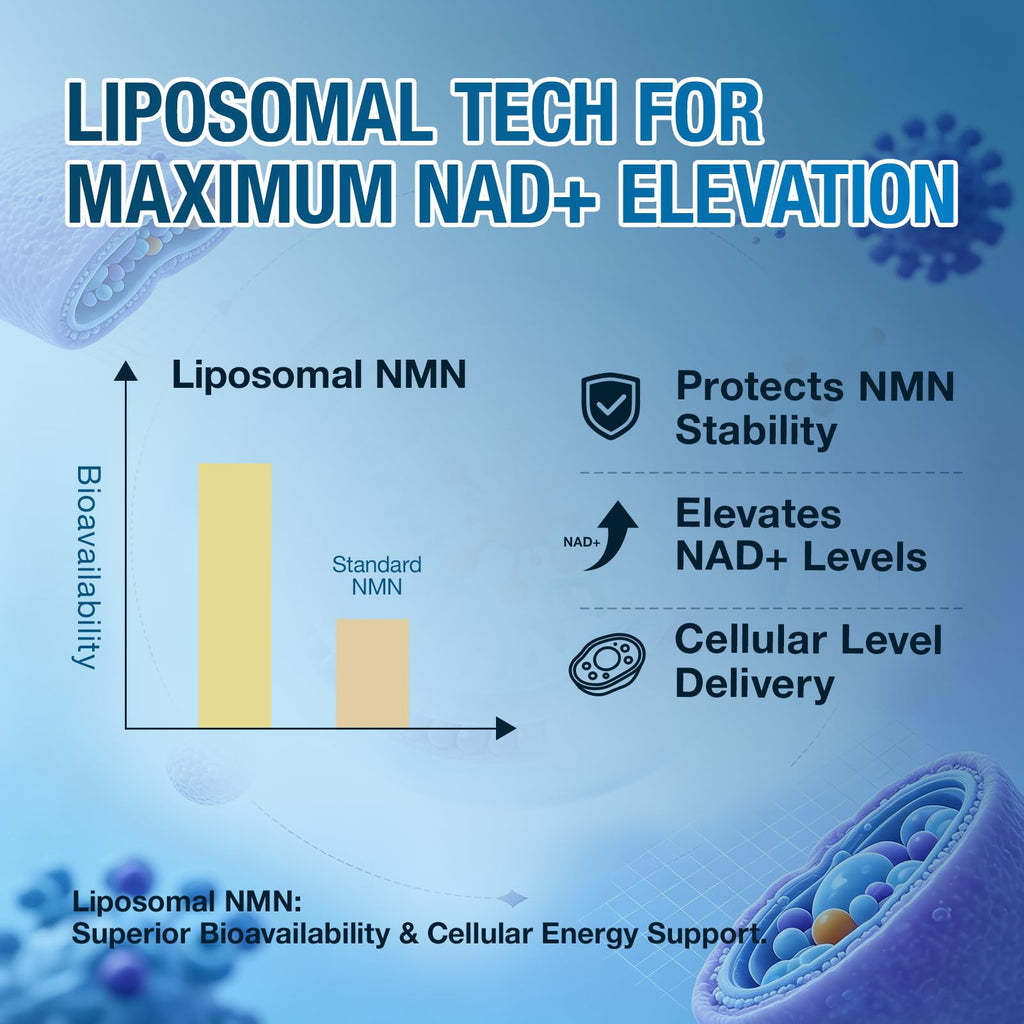 High absorption NMN supplement capsules