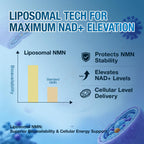 High absorption NMN supplement capsules
