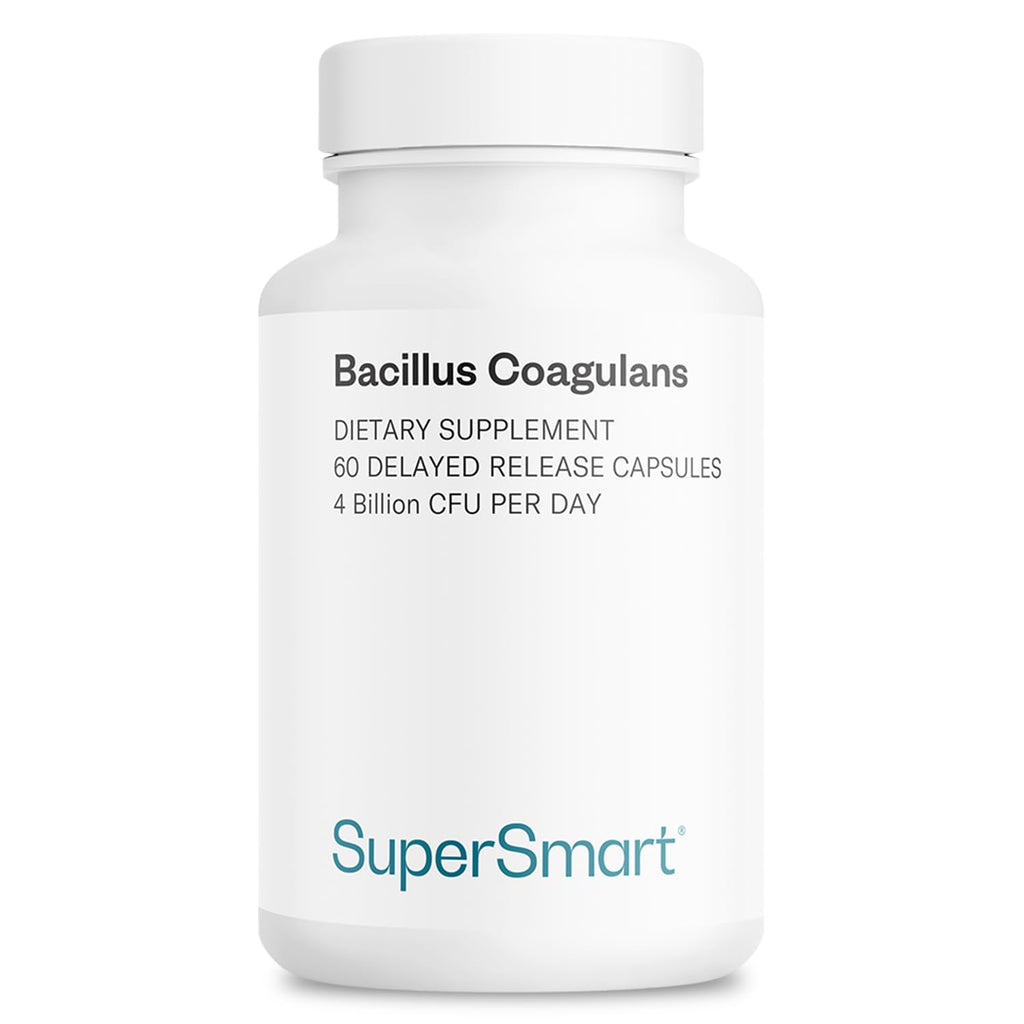 high absorption probiotic for gut health
