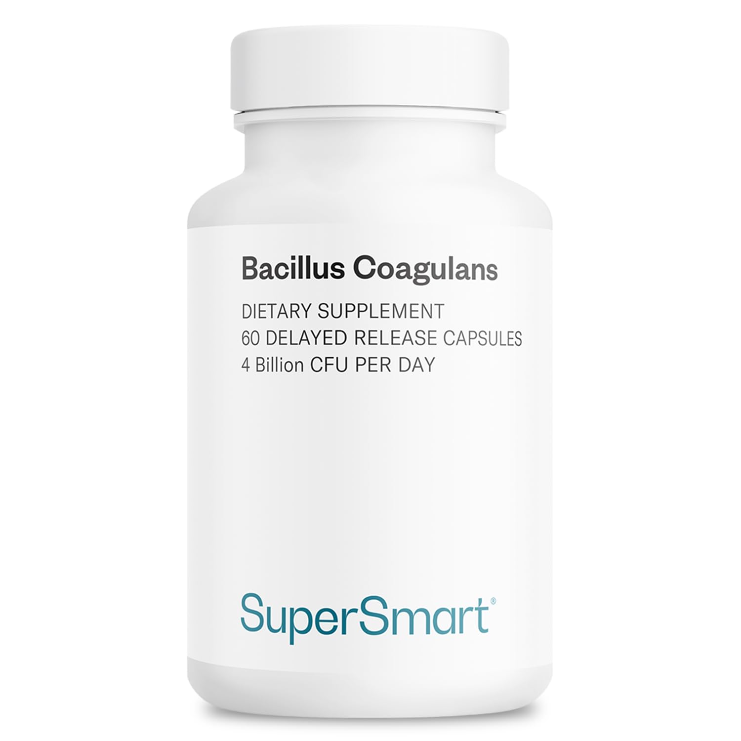 high absorption probiotic for gut health