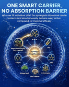 high absorption R-Alpha Lipoic Acid