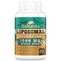high absorption spermidine supplement