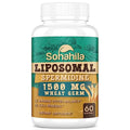 high absorption spermidine supplement