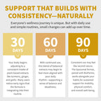 high absorption turmeric curcumin capsules