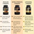 high absorption turmeric curcumin