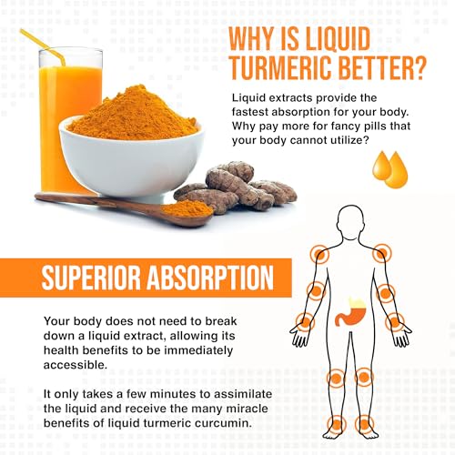 high absorption turmeric supplement