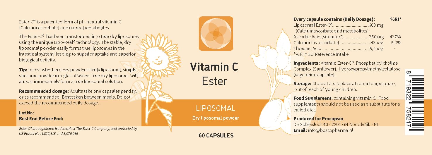 high absorption vitamin c capsules