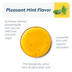 High absorption Vitamin C formula