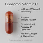high absorption vitamin c supplement