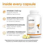High absorption Vitamin C supplement