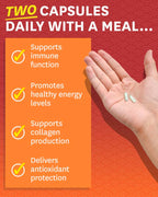 high absorption vitamin c supplement