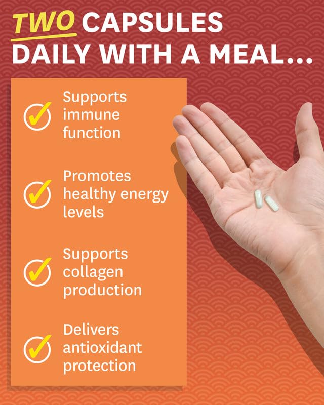high absorption vitamin c supplement