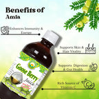 High antioxidant amla juice