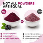 high antioxidant aronia berry powder