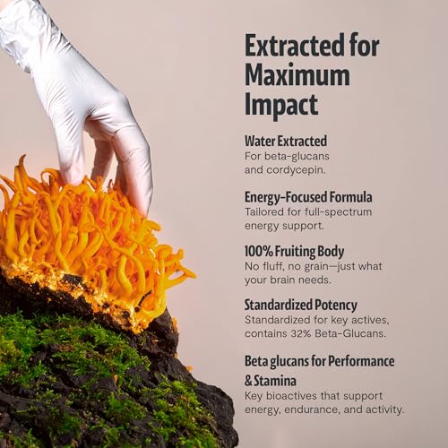 high beta-glucans mushroom extract