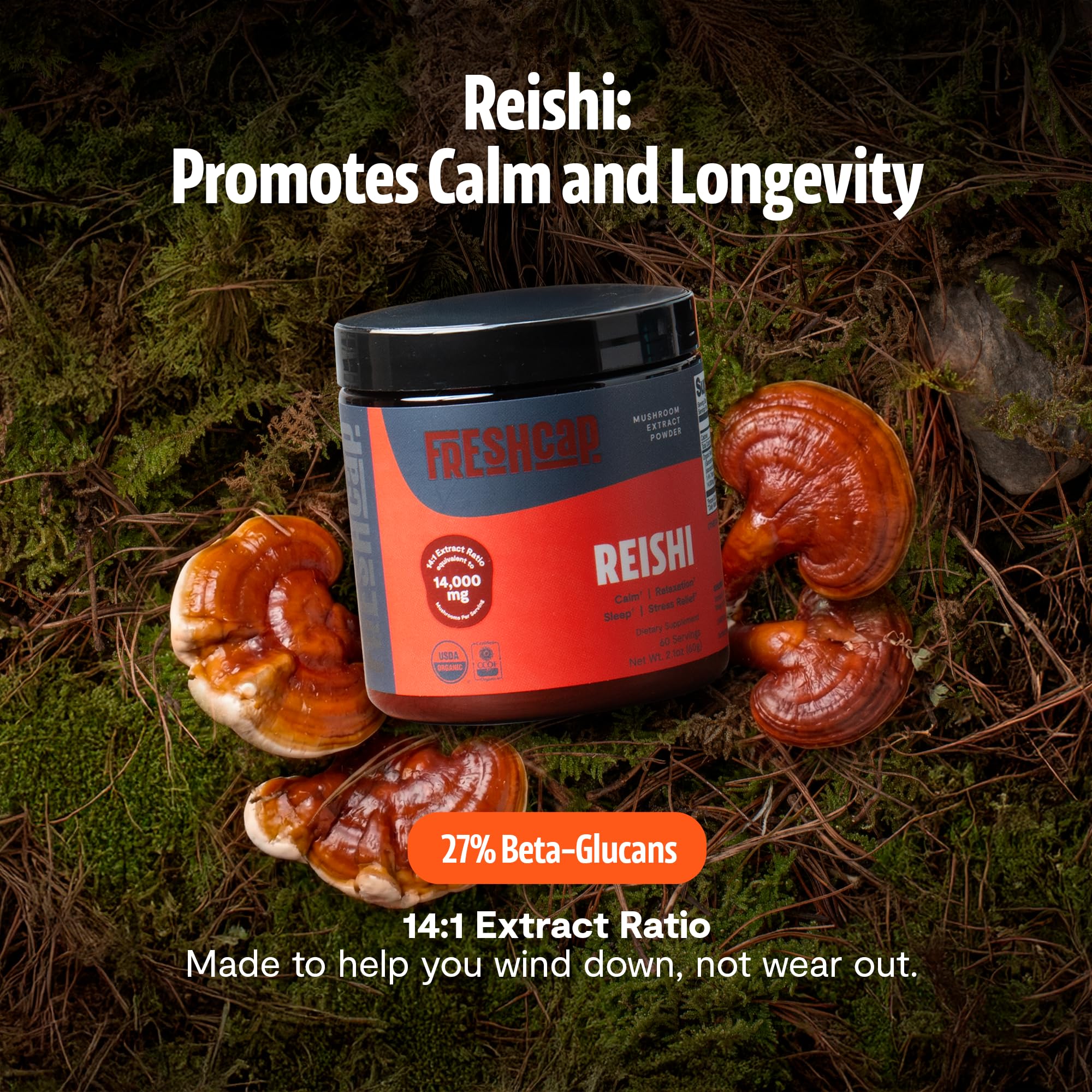 high beta-glucans mushroom extract