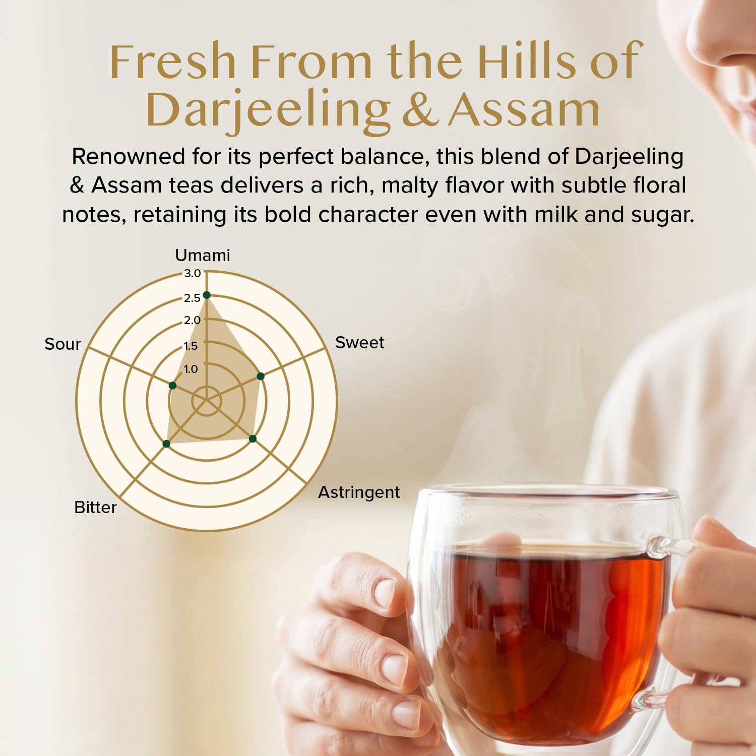 high caffeine black tea option