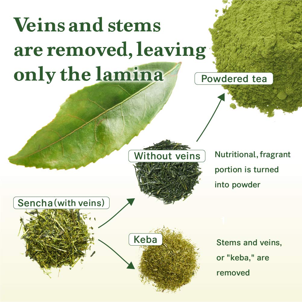 high caffeine green tea option