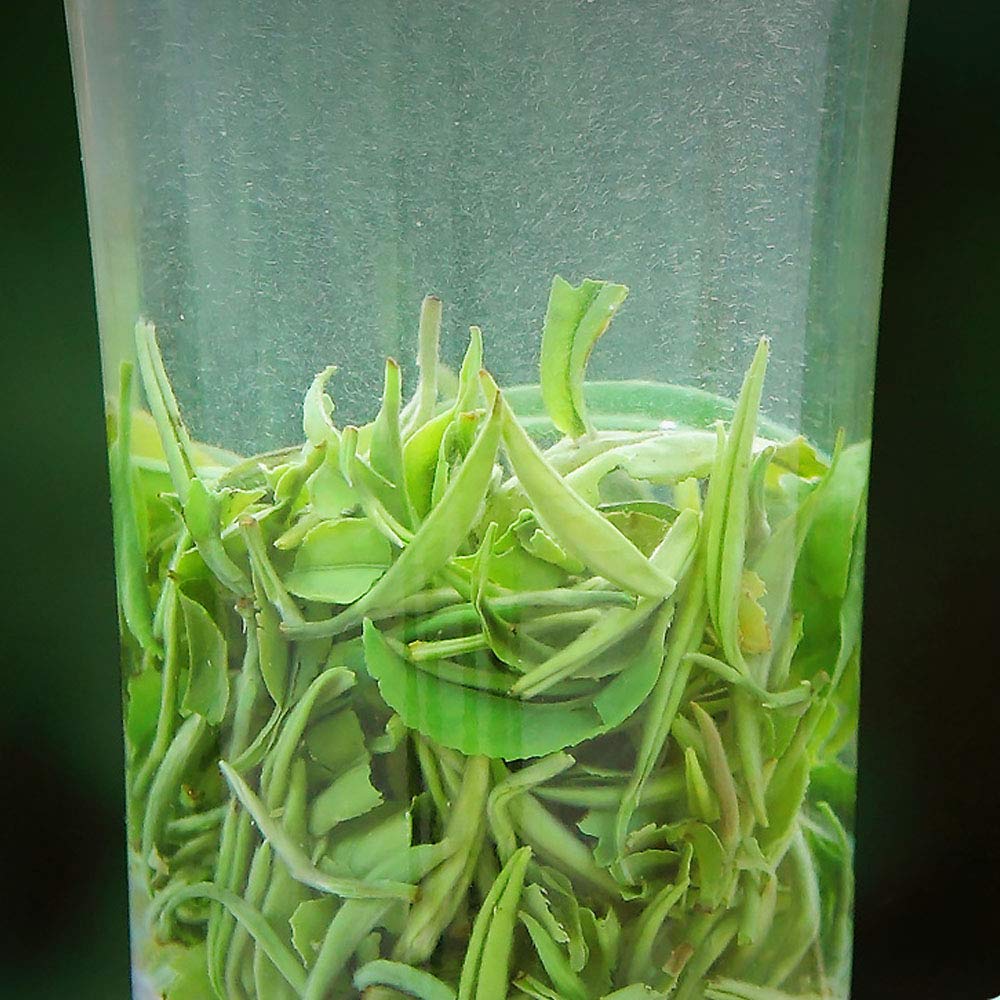 high caffeine green tea option
