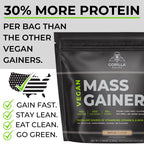 high-calorie mocha mass gainer