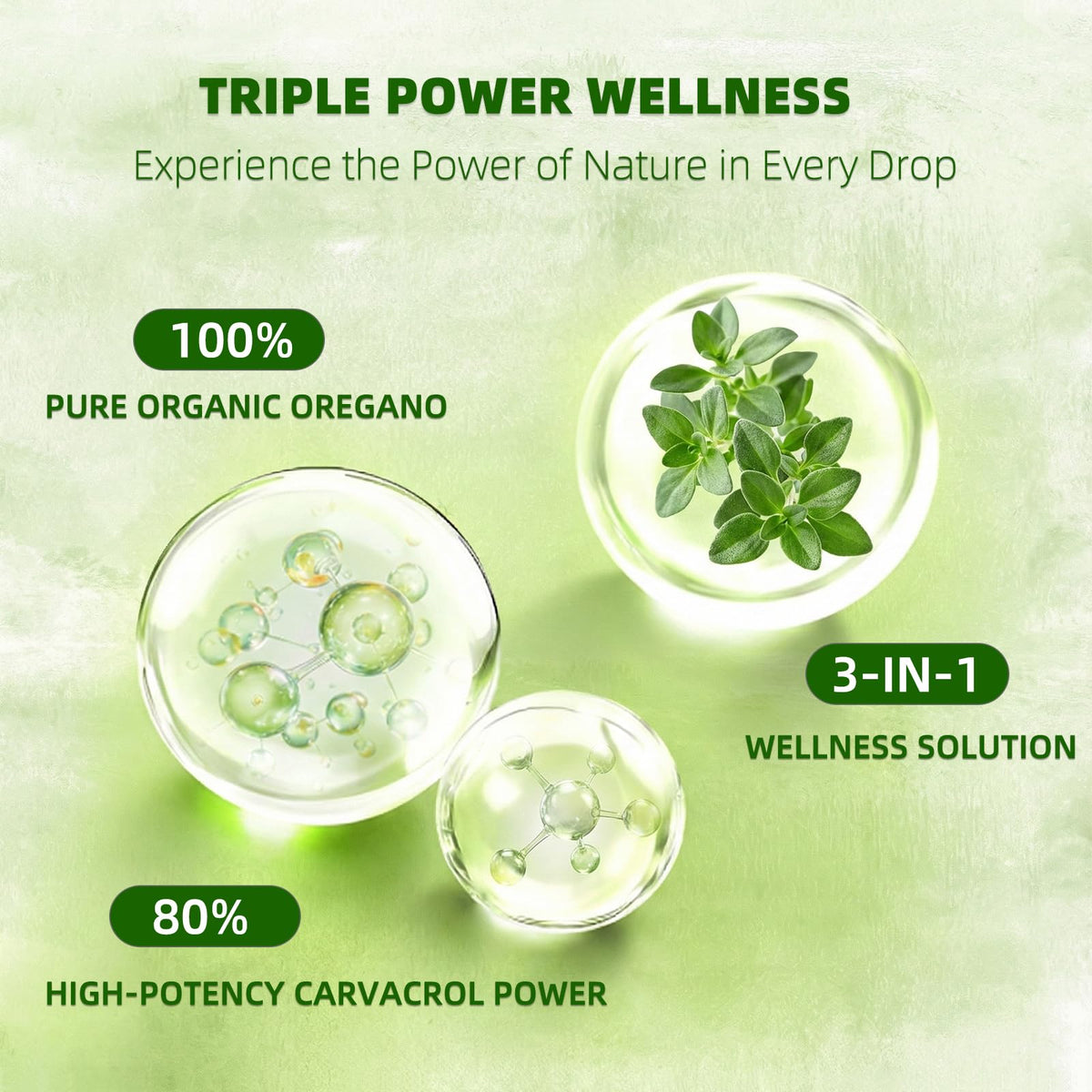 high carvacrol oregano oil benefits