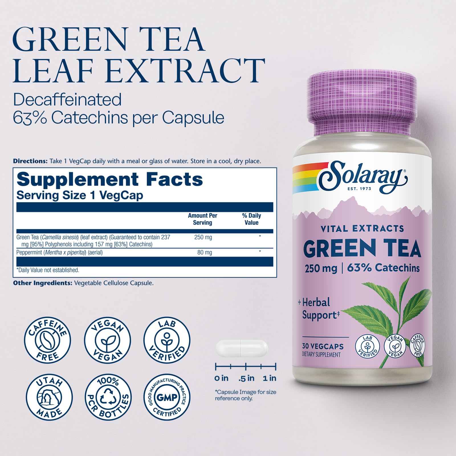 high catechins green tea capsules