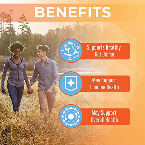 high CFU turmeric for gut health