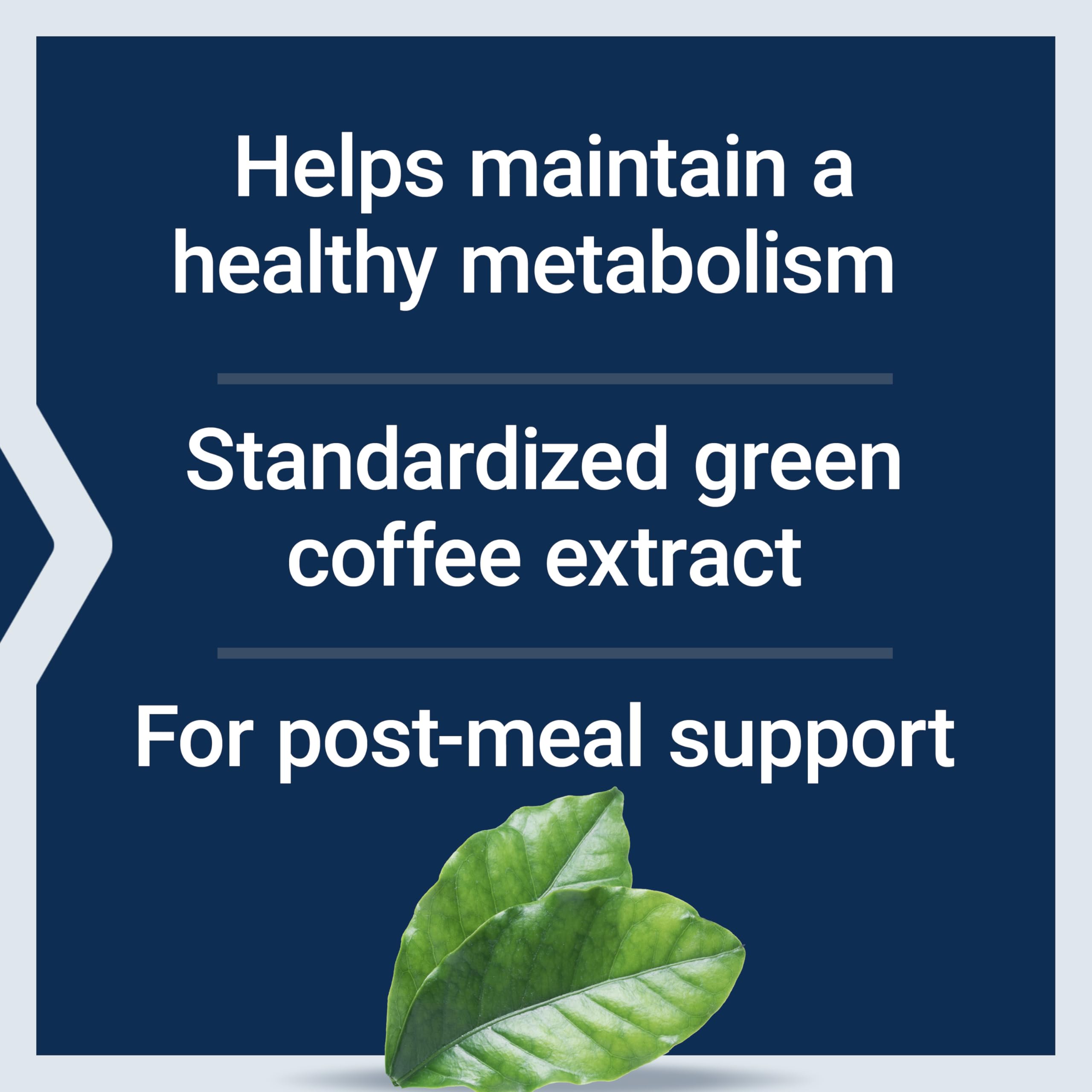 high chlorogenic acid green coffee extract