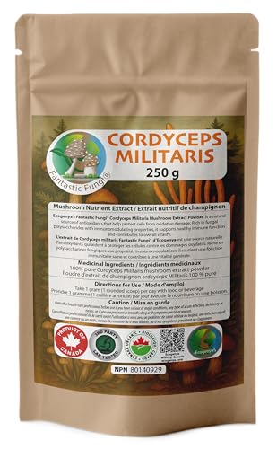 High concentration mushroom powder benefits