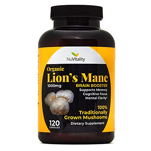high-dose brain supplement with mushrooms
