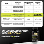 High dose NAD supplement 1800 mg